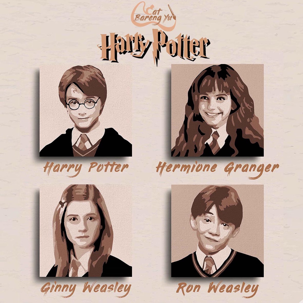 Paint By Numbers Kit Harry Potter Series (Harry Potter | Hermione ...