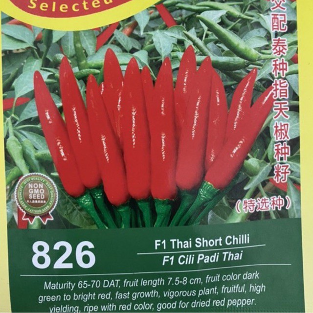 Benih Lada cili Padi Thai Chilli Seeds 10pcs 🌶🌶🌶🌶🌶🪴 | Shopee Malaysia