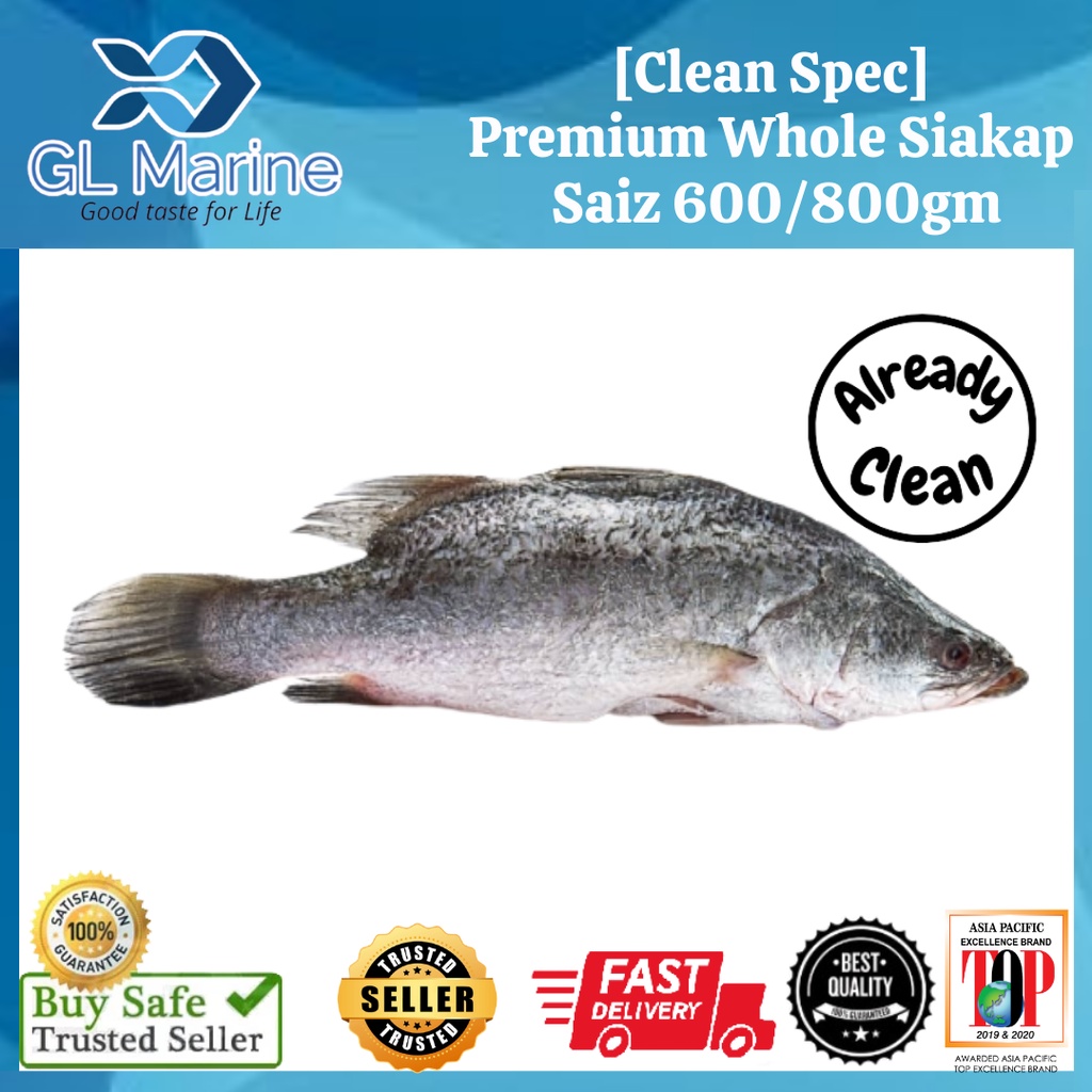[Recommended][Clean Spec] Premium Whole Siakap Saiz [600/800gm/fish ...