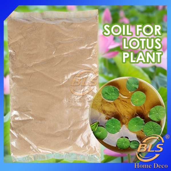 5kg Lotus Mud Powder Aquatic Pond Soil Natural Lotus Pond Potting Soil ...