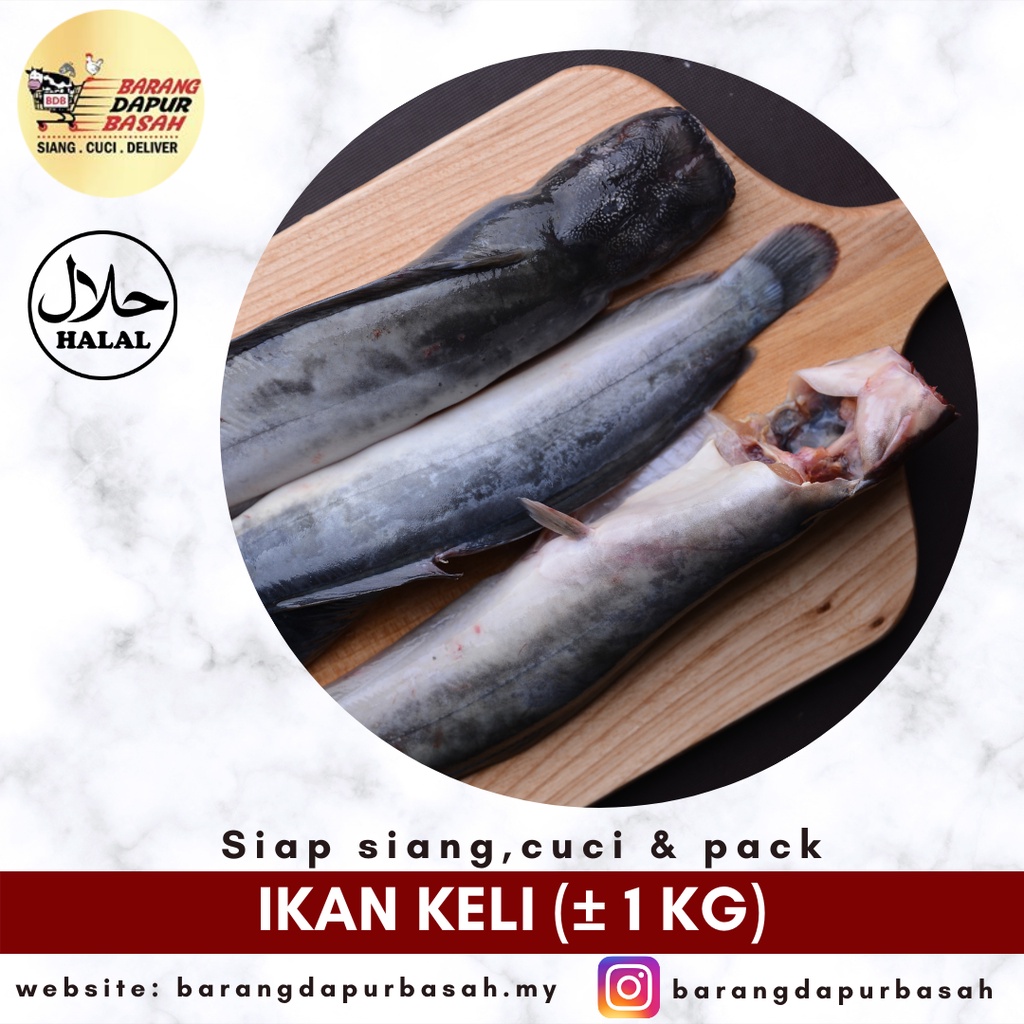 [DELIVERY 1 SEMENANJUNG] IKAN KELI 1 kg | Shopee Malaysia