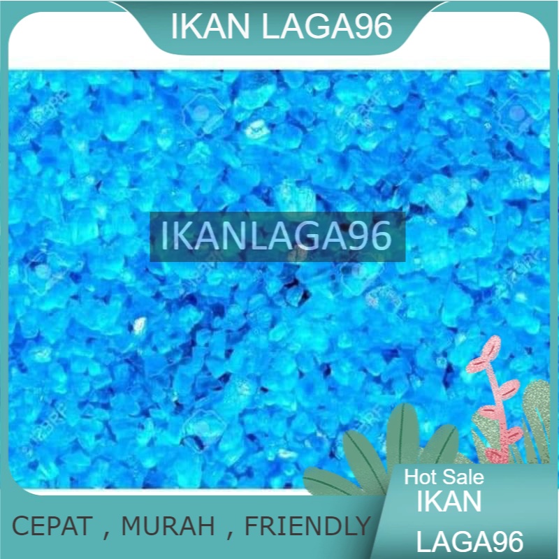 Khasiat Garam Biru Untuk Ikan Laga Dari Thailand GARAM BIRU BLUE SALT ...