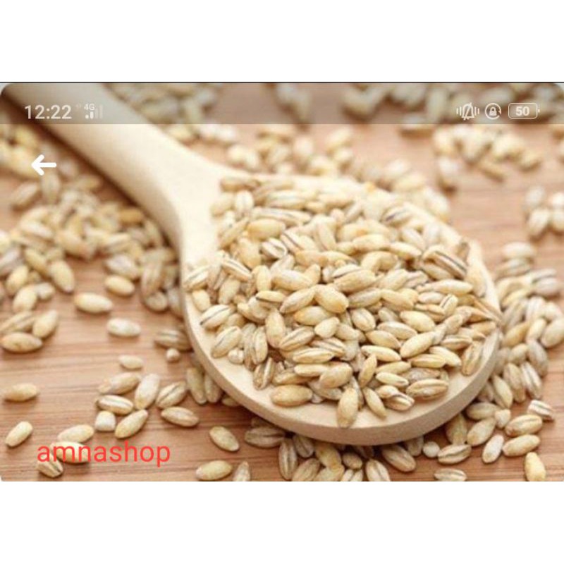 🔥 READY STOCK 🔥 Beras Barli/Barley Gred 1 | Shopee Malaysia
