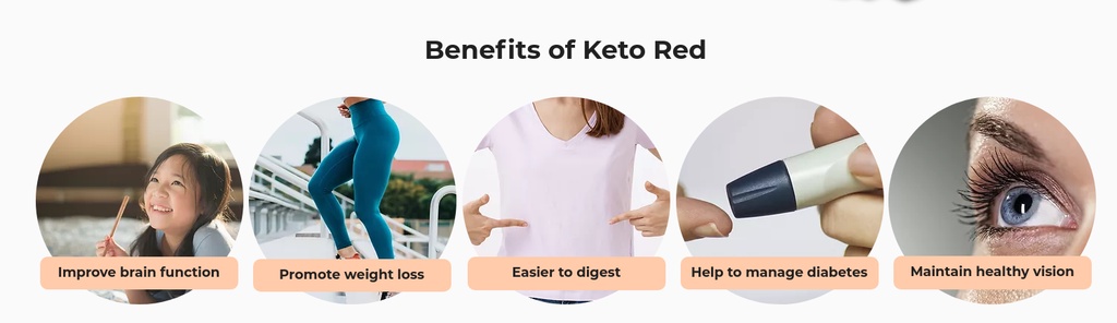 [MD Keto] Ketored Plus Palm MCT Oil 250ml keto red mct omega3 vitamin A ...