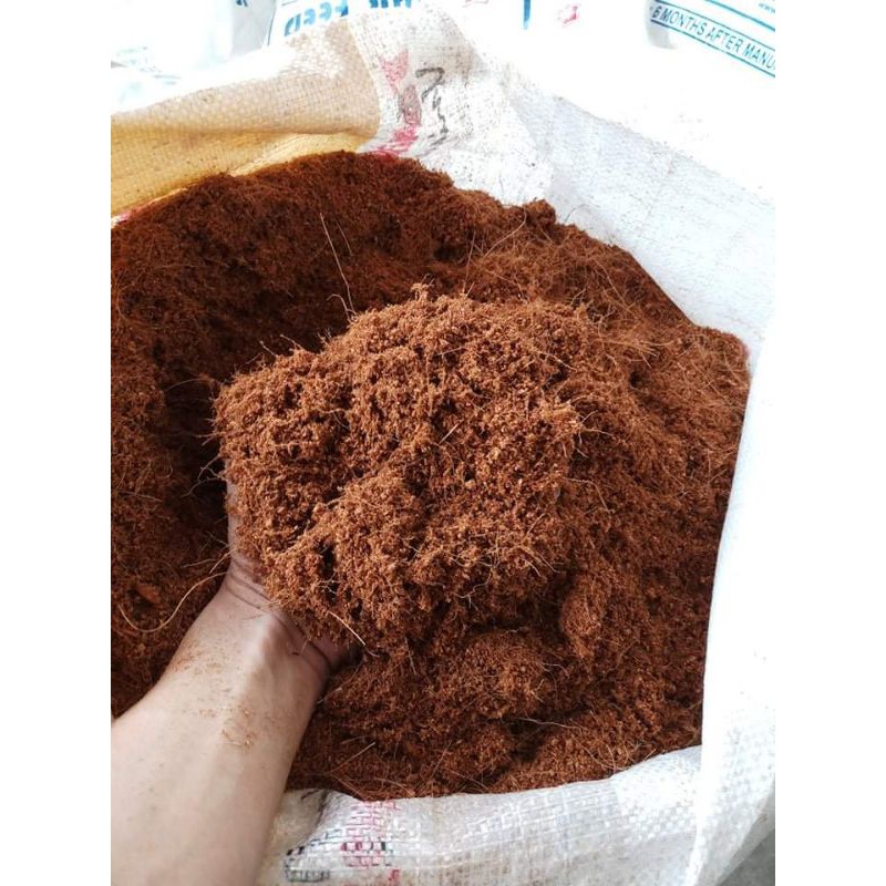 COCOPEAT SABUT KELAPA (6KG) | Shopee Malaysia