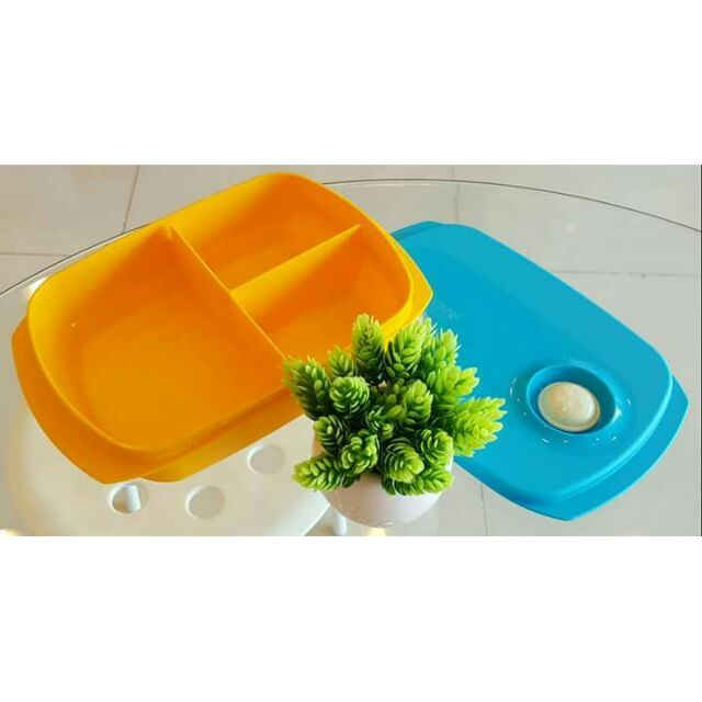 Tupperware Reheatable Divided Lunch Box 1.0L | Shopee Malaysia