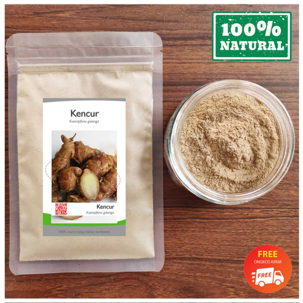 Kencur POWDER 1 Kg Simplicia Kaempferia galalanga Powder 100% Original ...