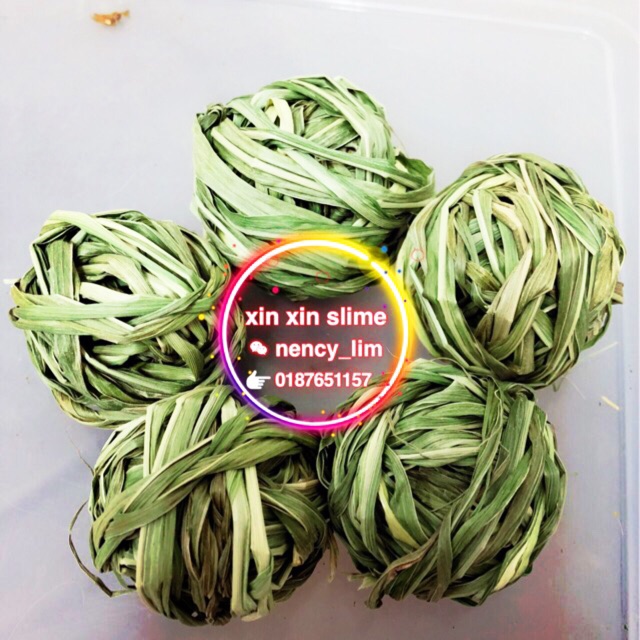 Napier hay马草球玩具可食【超级香】 Guinea Pig /marmut/天竺鼠/豚鼠的最爱 | Shopee Malaysia