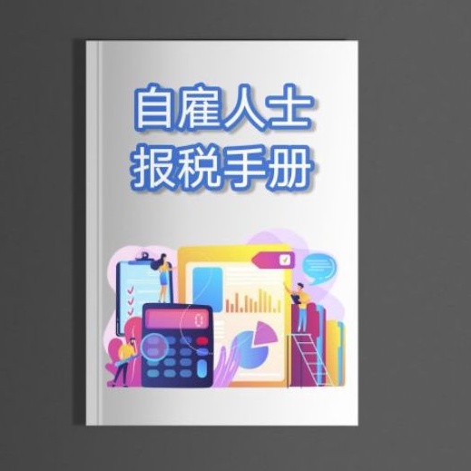 Excel 自雇人士Form B Tax Computation Excel Profit and Loss Balance Sheet ...