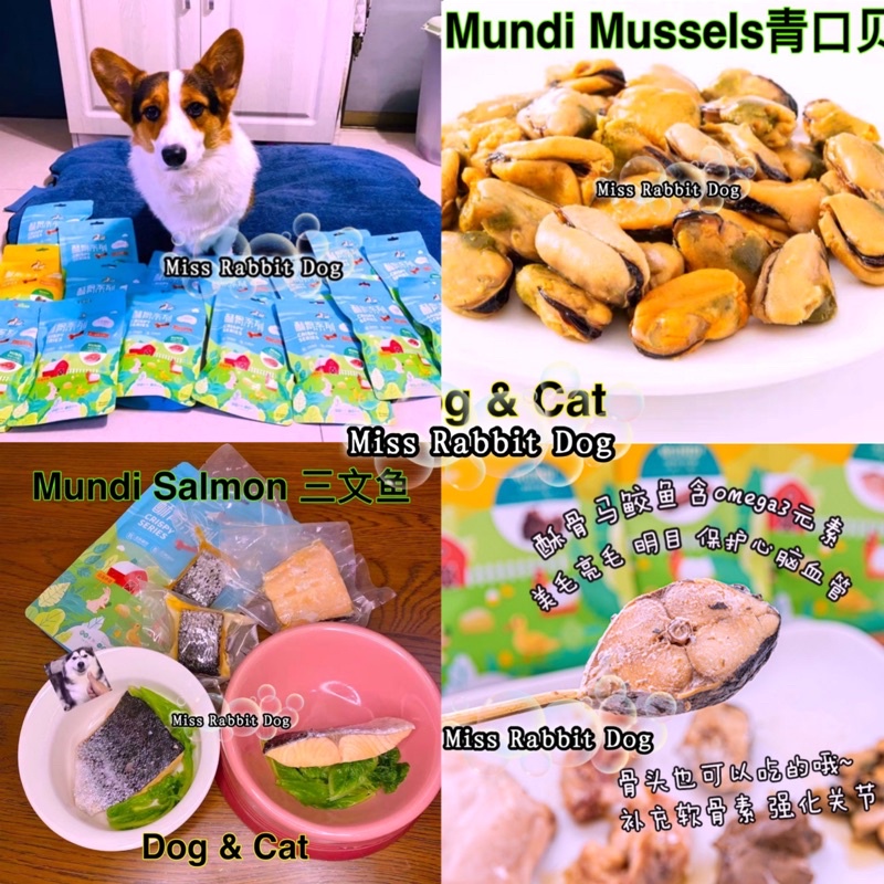 Mundi Pet Dog Cat Wet Pack Crispy Bone Series Salmon/ Spanish mackerel ...