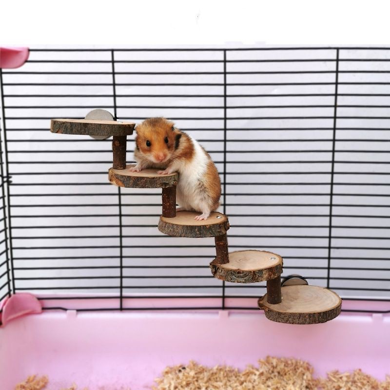 🔥Ready Stock🔥Wooden Hamster Ladder, Natural Apple Wood Pet Ladder ...