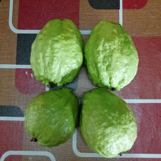 Jambu batu sedap muda | Shopee Malaysia