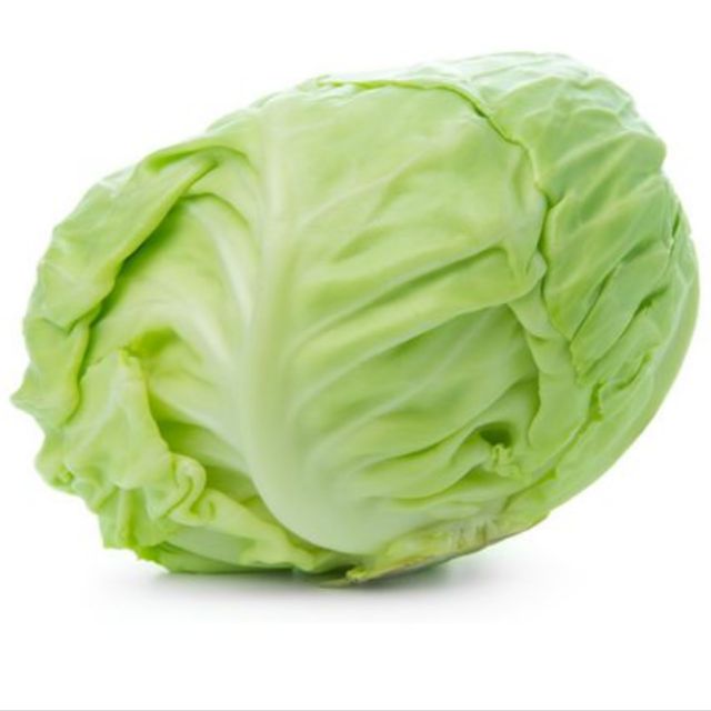 20 pcs Biji benih Kobis bulat / cabbage seeds / buy 3 free 50g tahi ...