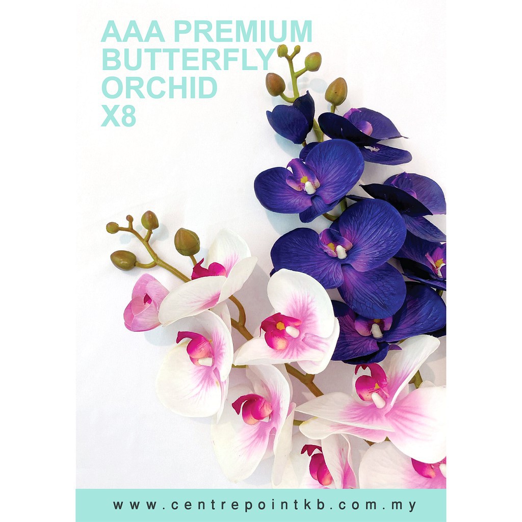 🔥NEW🔥 37 COLOURS!! 8 Heads AAA Premium Latex Butterfly Orchid 【B ...