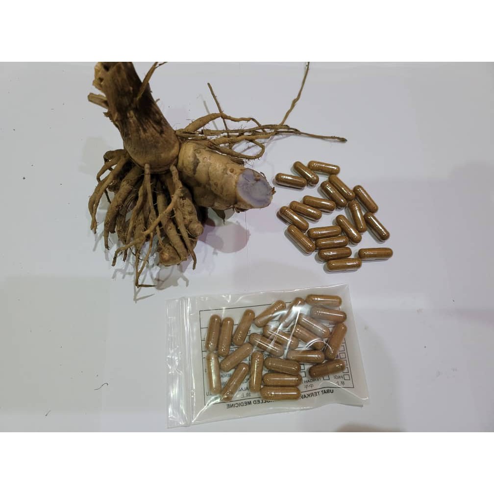 Ubat Mati Pucuk | Herba Asli | Lemah Tenaga Batin | Shopee Malaysia