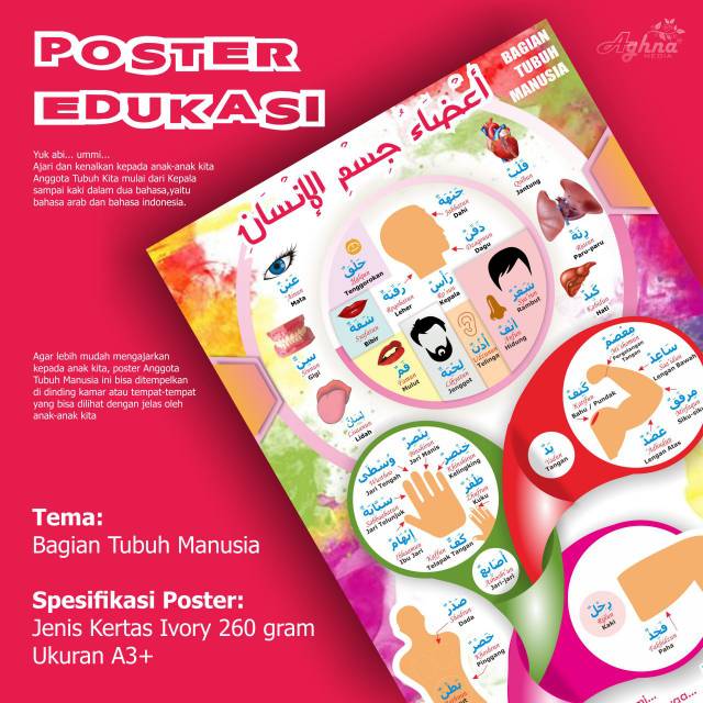 Educational WALL POSTER - getting to know our body parts in Indonesian ...