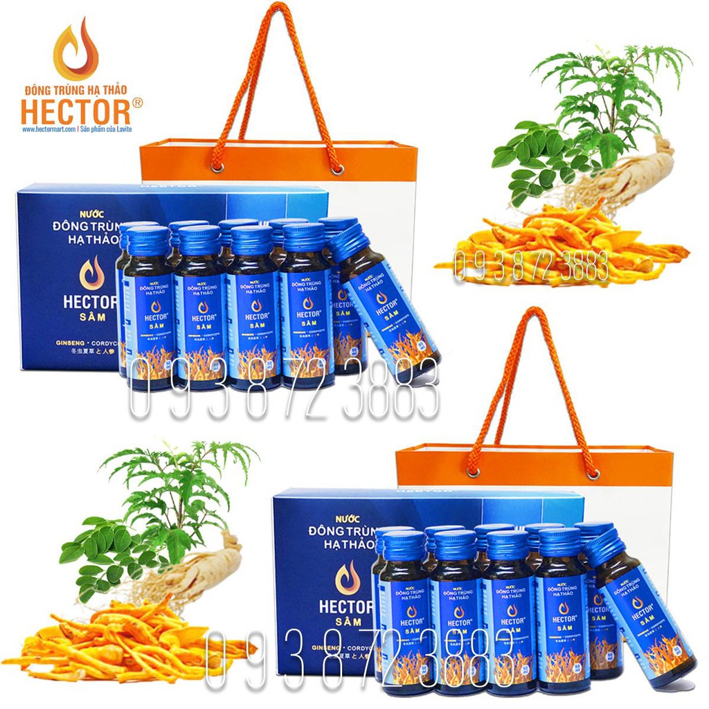 Hector Ginseng Cordyceps Drink (Combo 20 Bottles x 50ml) | Shopee Malaysia