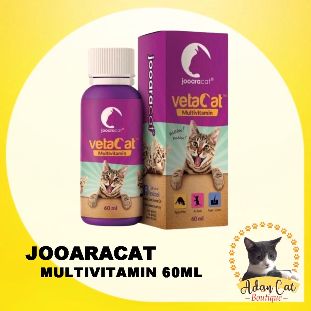 Vetacat Multivitamin Syrup (Cat & Kitten) 60ml | Shopee Malaysia