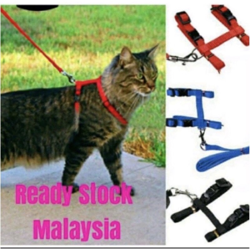 TALI KUCING/ TALI ANJING/ CAT COLLAR/ DOG (RANDOM COLORS) | Shopee Malaysia