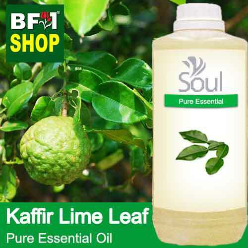 Pure Essential Oil (EO) - Lime - Kaffir Lime Leaf Essential Oil - 1L ...