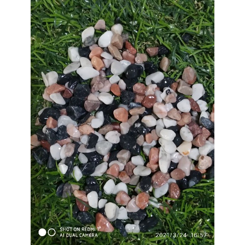 💐💐1 kg💐💐 mix colour stone/batu aquarium /batu chiping /batu Hiasan ...