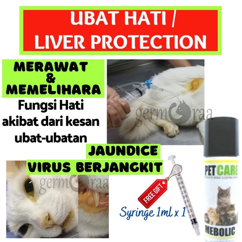 Ubat Hati Kucing Cat Liver Demam Kuning Merawat Hati Kucing Sporo Boost ...