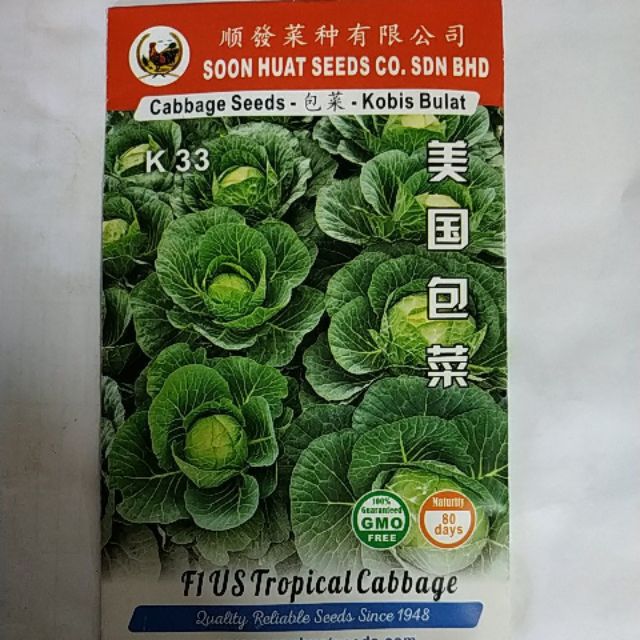 Cabbage vegetable seeds 美国热带包菜菜种 benih sayur Kubis Bulat Malaysia ...