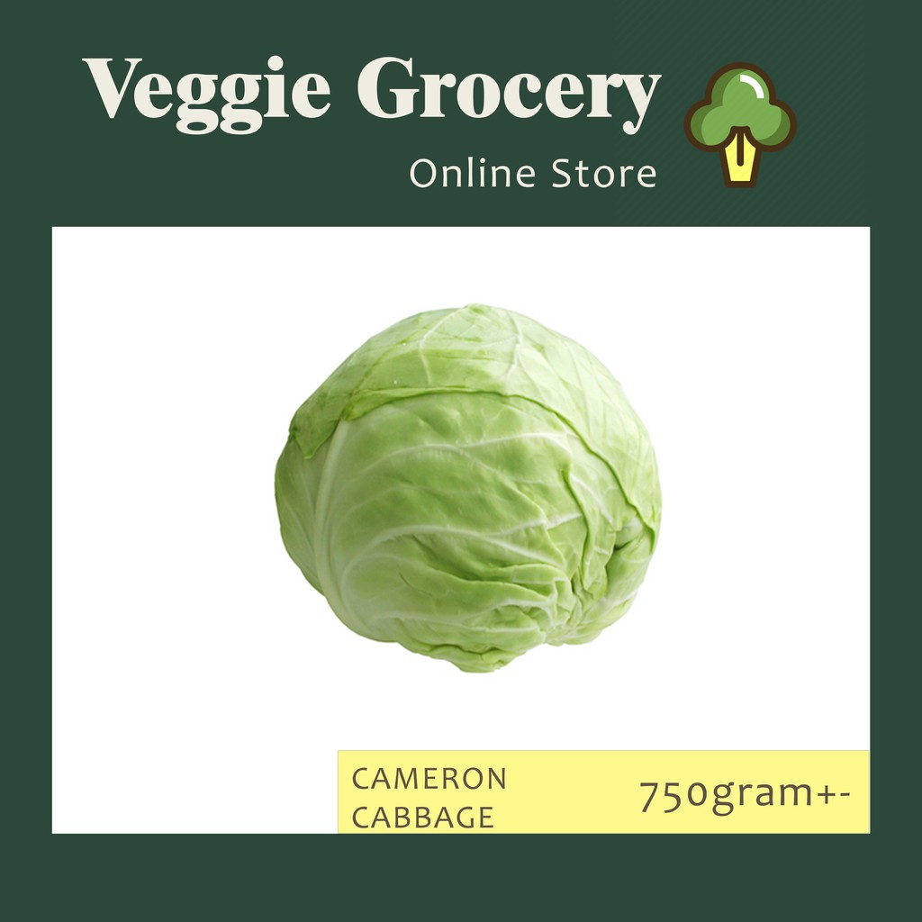 Kubis Kobis bulat Cameron Cabbage 金马伦包菜 500-600gram+- Fresh vegetable ...