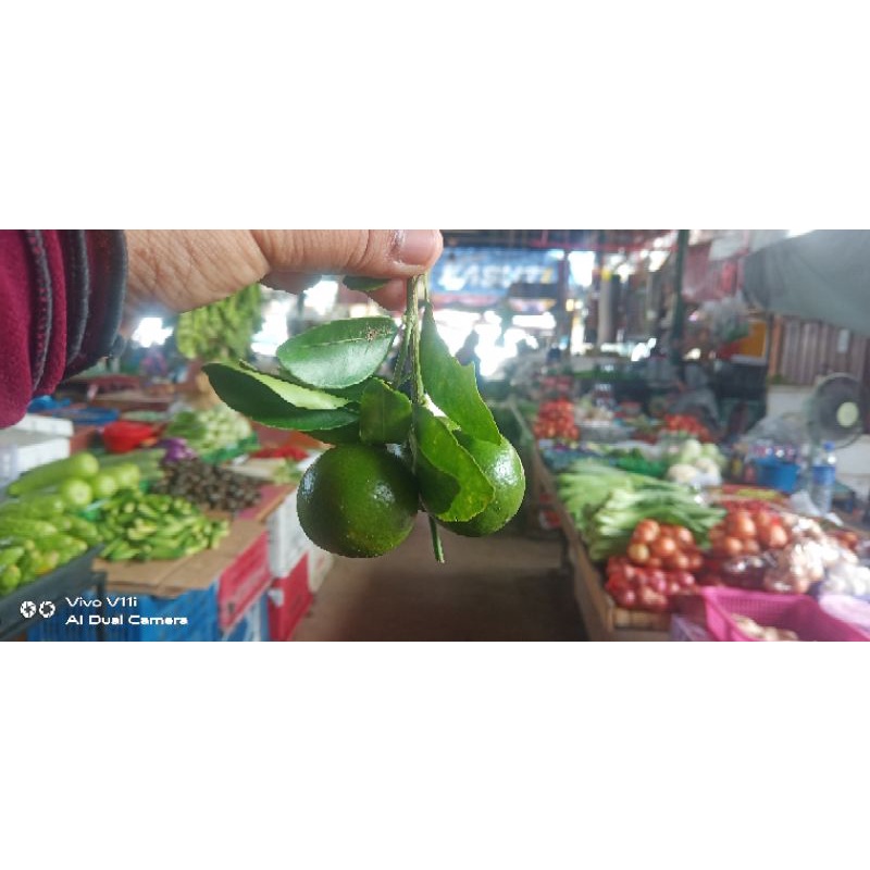 ASAM LIMAU KASTURI. | Shopee Malaysia