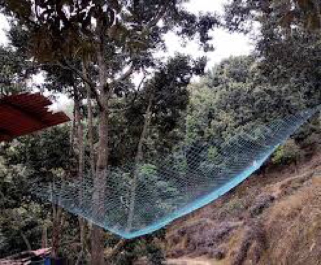 Super Value🏅DURIAN NET/ jaring durian🏅榴莲网ISO PE UV Net(complete/no ...