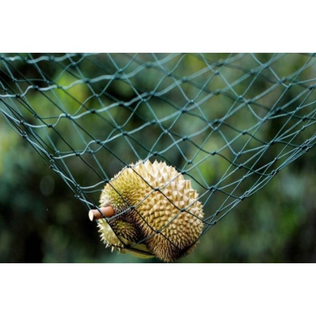 💥 11ft x 24ft Musang King Durian UV Netting Net💥 | Shopee Malaysia