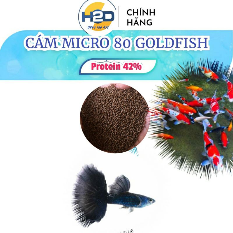 Ornamental fish bran, Ranchu, Betta, 7-color fish with super small ...