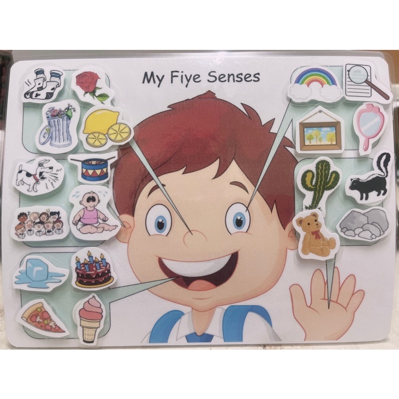 READY MADE MY FIVE SENSES | Shopee Malaysia