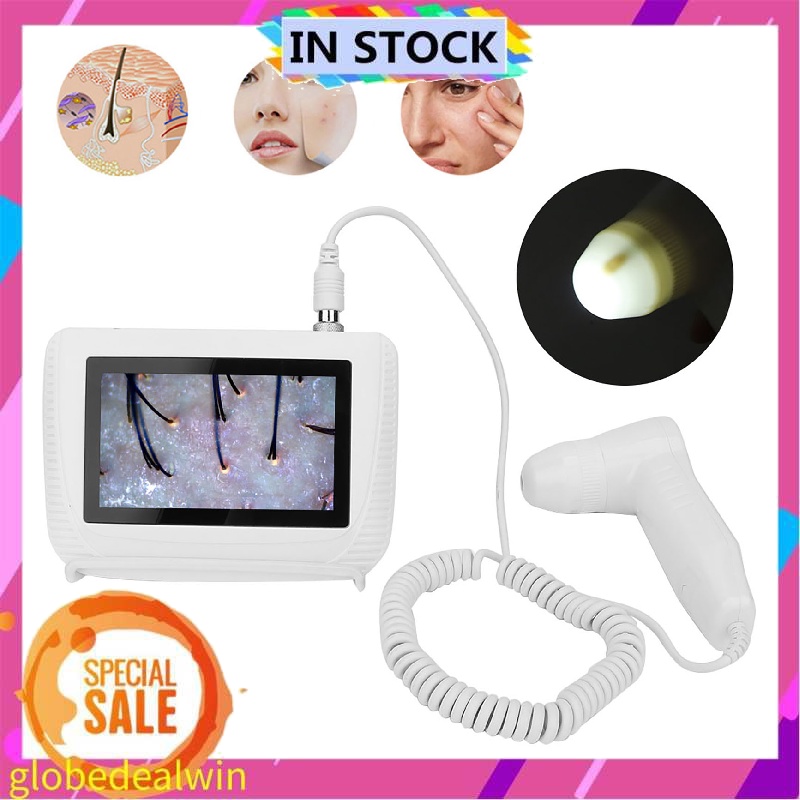 [Ready stock]Globedealwin 5 Inch Rechargeable Scalp Hair Follicle Oil ...
