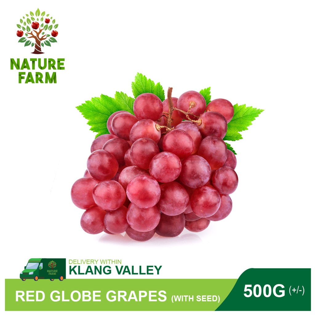 Nature Farm Grape Red Globe with Seed /Glob Merah Anggur (500G+-/PKT ...