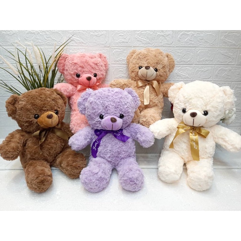 🔥READY STOCK🔥Patung TEDDY BEAR COMEL 50cm🔥 | Shopee Malaysia