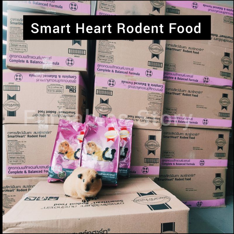 1kg Smart Heart Rodent for Guinea Pig and Rabbit Pellet Tikus Belanda ...