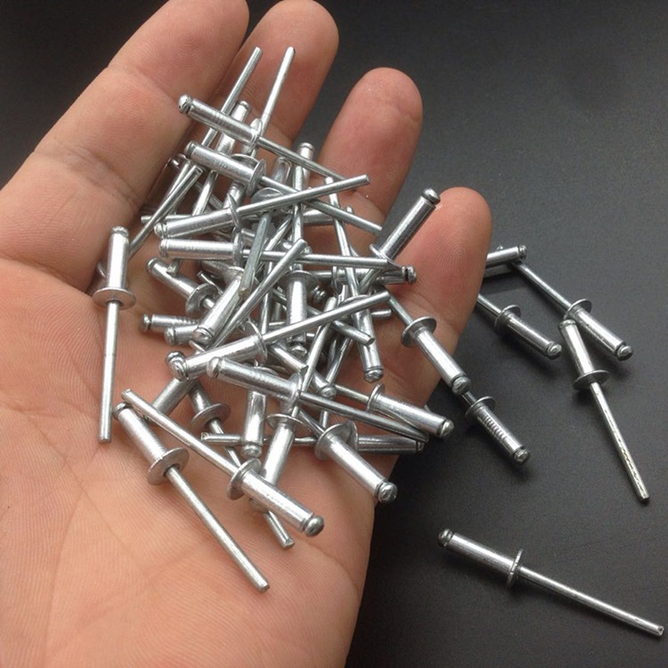 MKR 50pcs Paku Rivet Pop Rivet Aluminium Mushroom Dome Head Blind Rivet ...