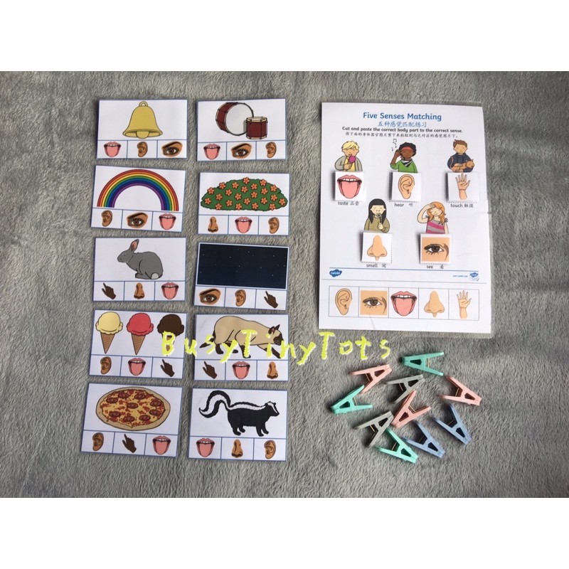 BusyTinyTots/Learning Five Senses/Quiet Book/Busy Book/Montessori ...
