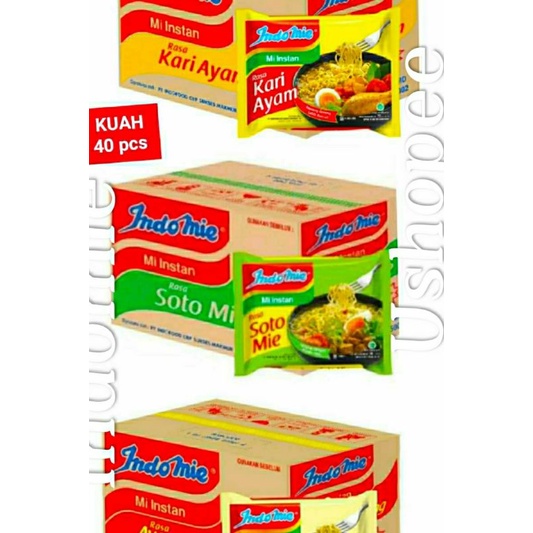 Indomie instant noodles 1 carton contains 40 packs | Shopee Malaysia