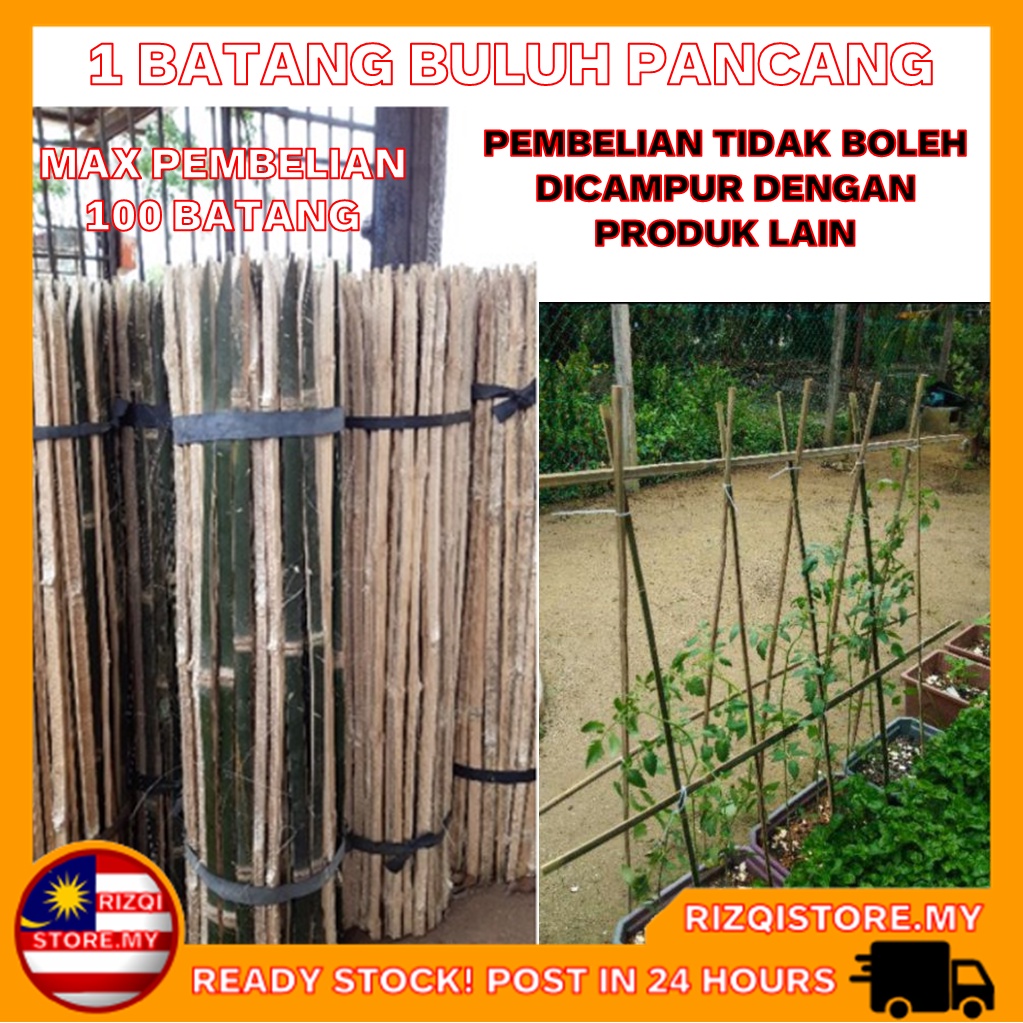 Buluh pancang pokok - Bamboo plants stakes - Buluh belah bakar ayam ...