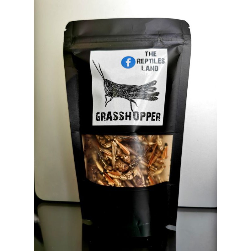 Locust 蝗虫( Bird food, turtle food, mice food) | Shopee Malaysia