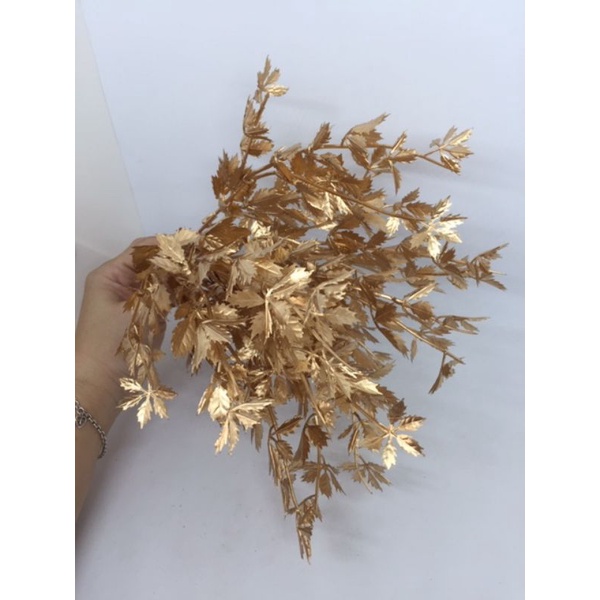 Daun gold/gold leaf/daun paku gold,daun Eucalyptus gold,daun maple gold ...