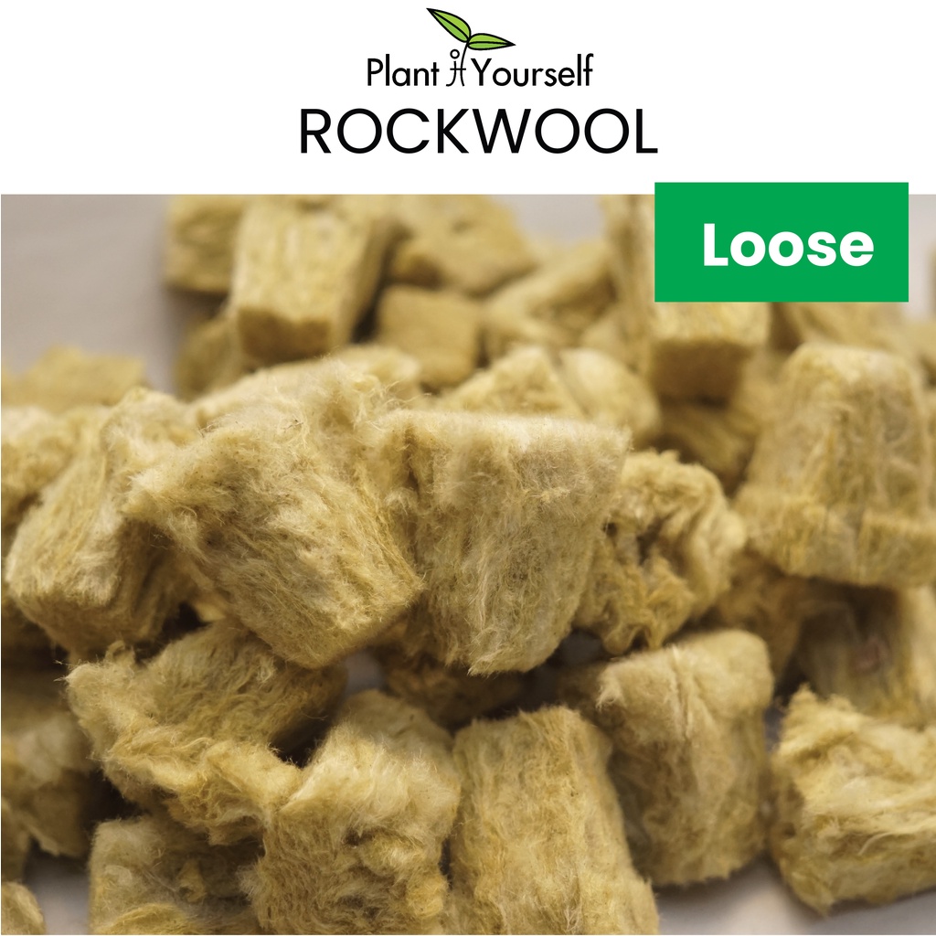 [Rockwool] Seed Propagation Blocks - Agricultural Grade (Loose - 50 ...
