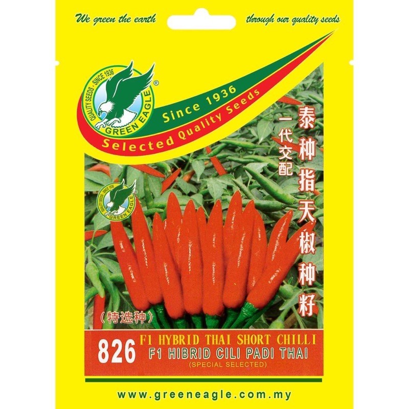 826 F1 HYBRID THAI SHORT CHILLI F1 HIBRID CILI PADI THAI 泰种指天椒种籽 ...