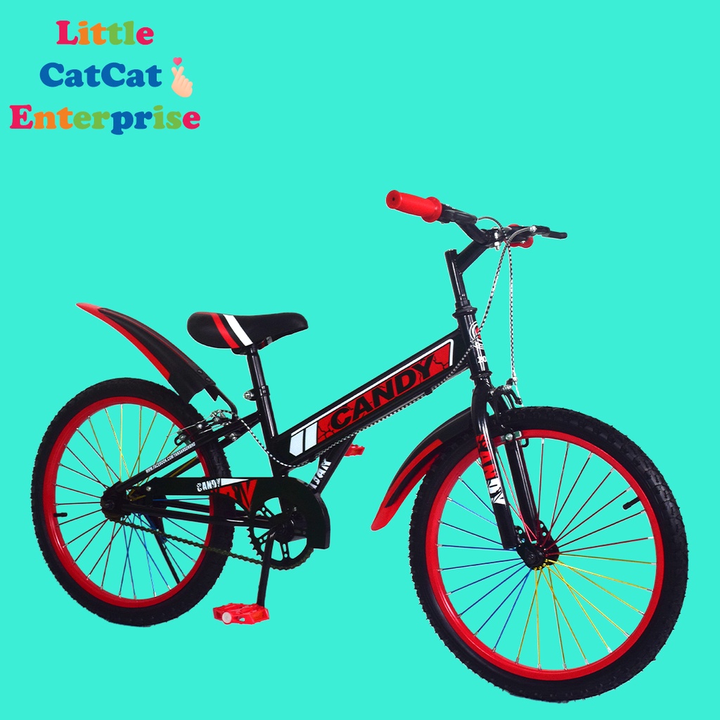 Candy 20" Basikal Kanak-kanak / Children Bicycles | Shopee Malaysia