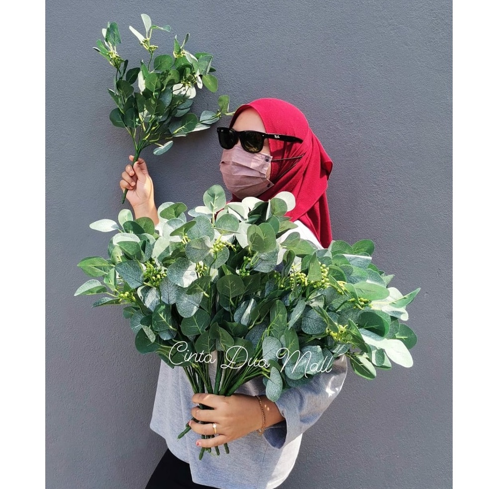 🔥READY STOCK🔥DAUN SILVER DOLLAR ( BUNGA PELAMIN ) | Shopee Malaysia