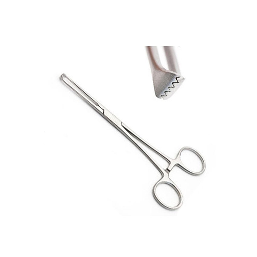 Allis Tissue Intestinal Holding Forceps BJ 4x5 Teeth, 15cm | Shopee ...