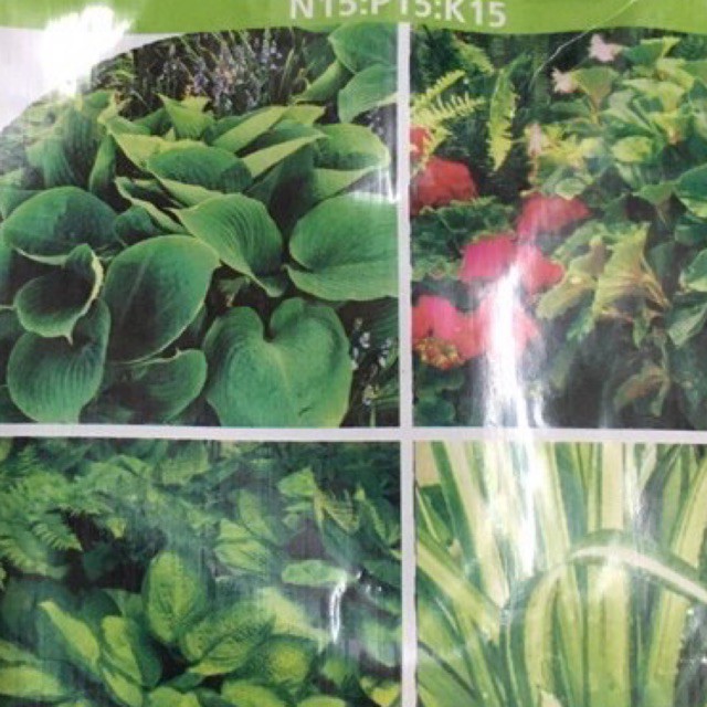 300g BAJA SUBUR DAUN POKOK BUNGA DAN SUBUR DAUN POKOK SAYUR atau baja ...