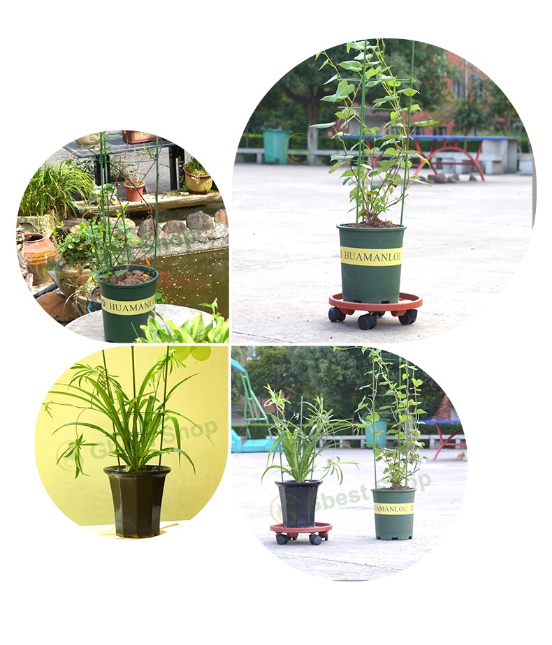 Conical plant climbing support stick net flower rack ring frame stand ...